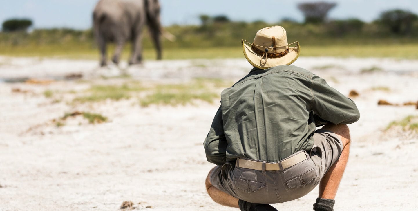 Epic careers in wildlife conservation | GVI