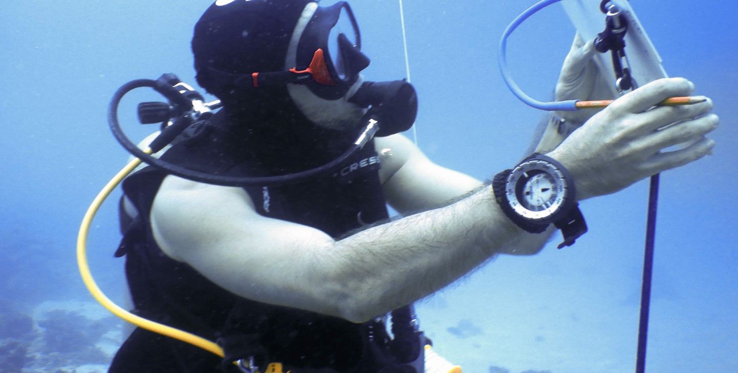 Marine Conservation Volunteering: How You Can Make a Difference | GVI | GVI